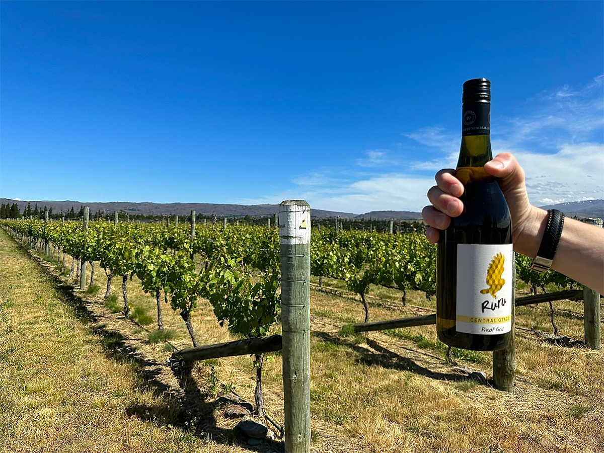 Ruru Wines: De leukste Nederlandse wijngaard van Nieuw-Zeeland